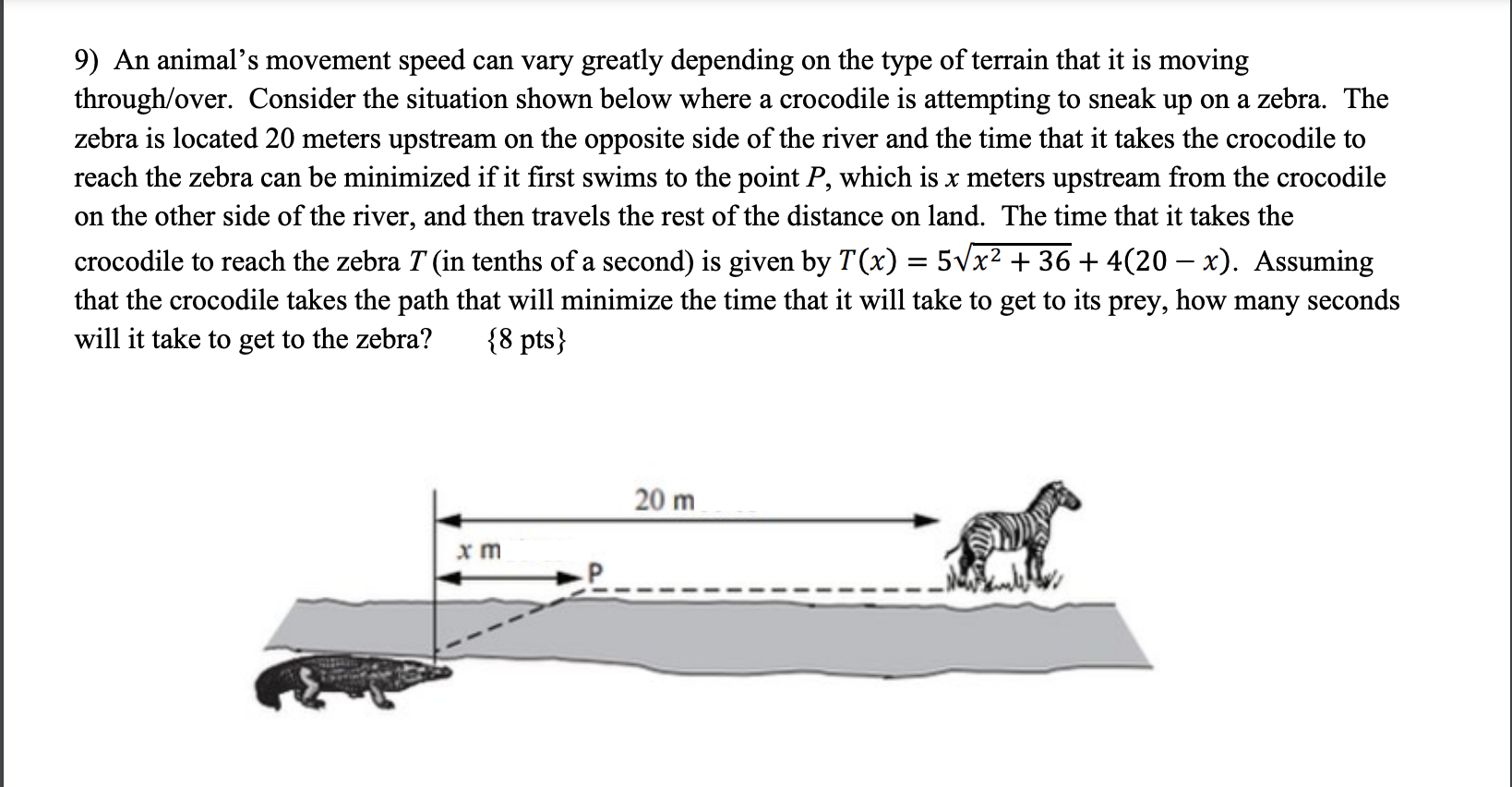 Solved 9) An animal's movement speed can vary greatly | Chegg.com