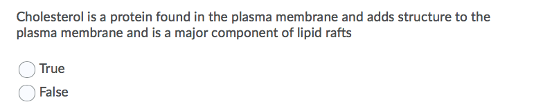 Solved Which of the following is found on the exoplasmic | Chegg.com