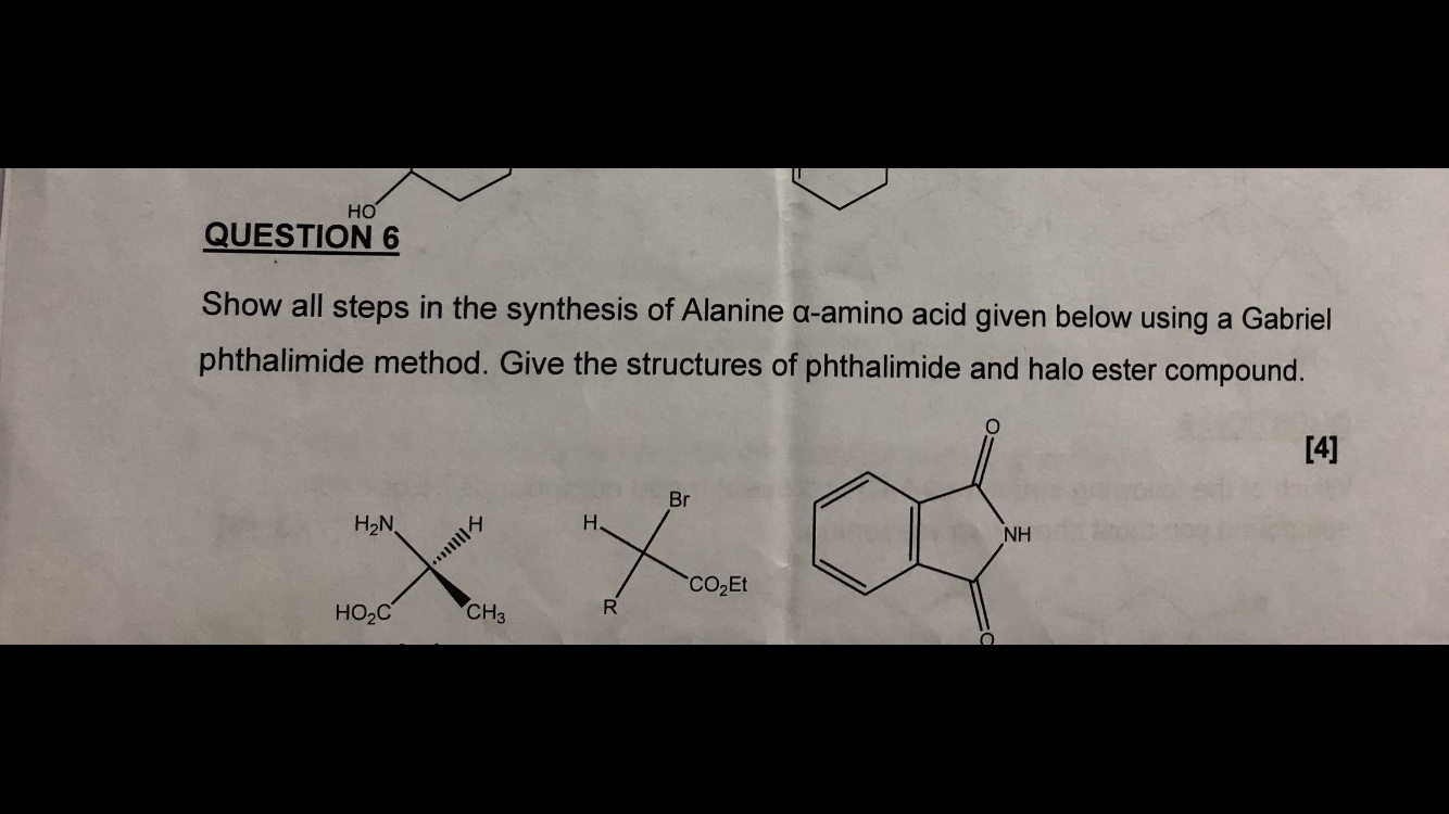 Solved Show all steps in the synthesis of Alanine α-amino | Chegg.com