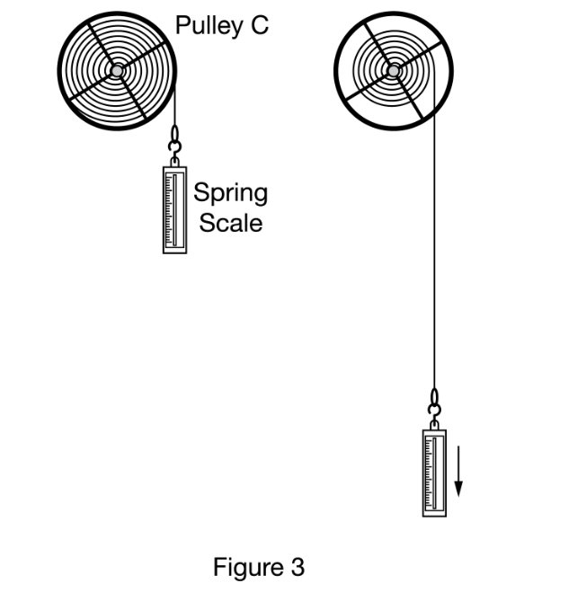 Solved (a) Two identical spring scales are each attached to | Chegg.com