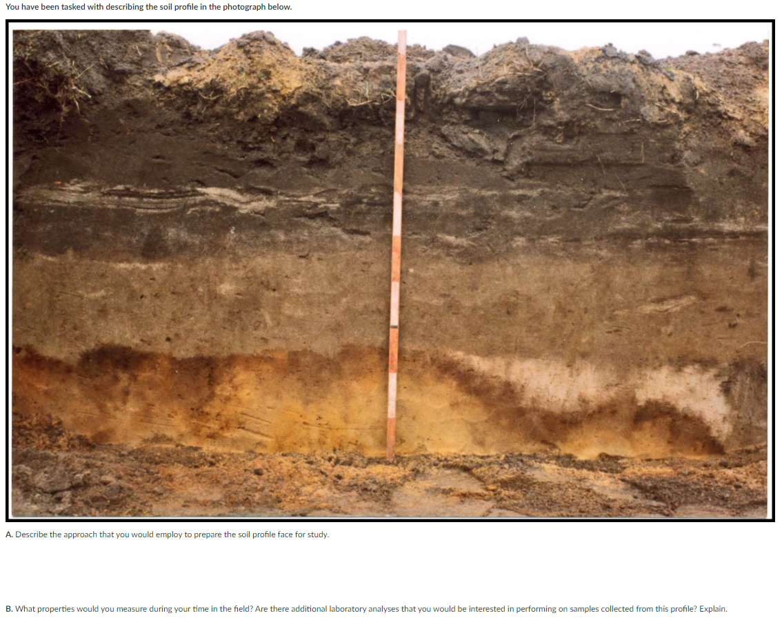 Solved You have been tasked with describing the soil profile | Chegg.com