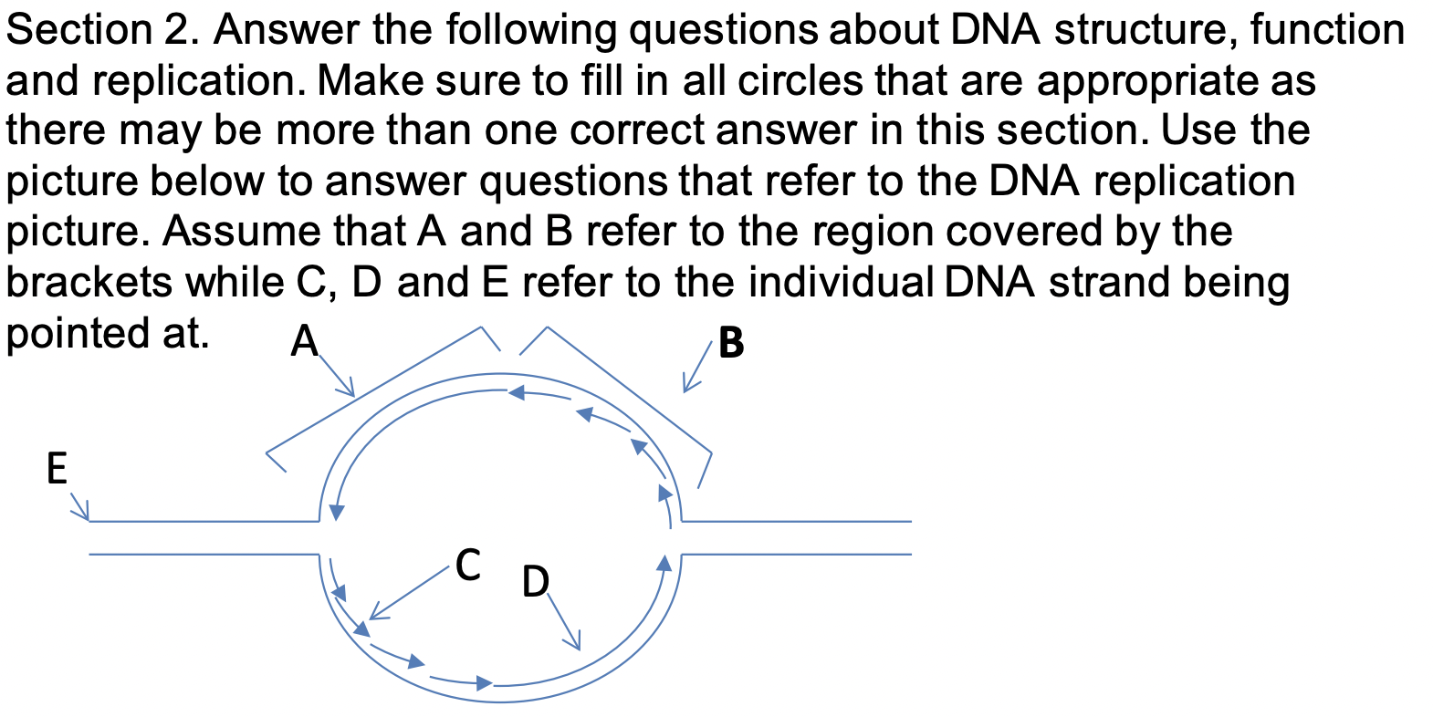 Solved Section 2. Answer the following questions about DNA | Chegg.com