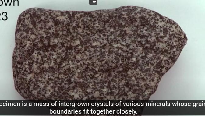 Solved This is a medium- to dark-toned rock,This specimen is | Chegg.com