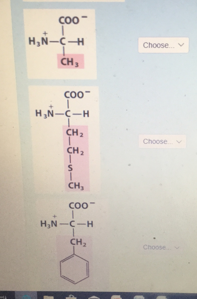 Solved coo H,N-C-H Choose.. CH3 COO coo CH 2 Choose CH 2 CH3 | Chegg.com