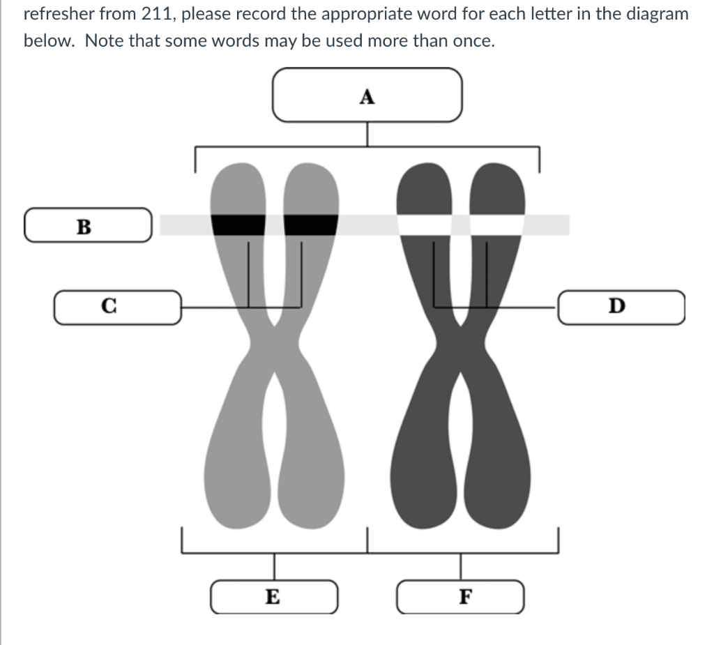 Solved refresher from 211 , please record the appropriate | Chegg.com