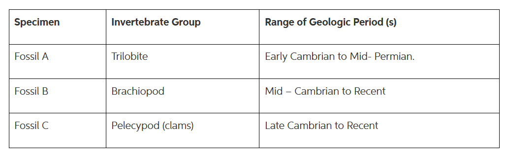 Solved Lab 6: Geologic Time Answer the following two | Chegg.com