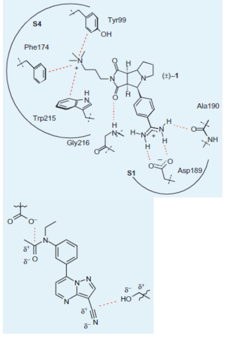 Solved The structure of lovastatin, a fungal metabolite now | Chegg.com
