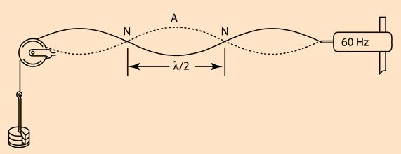 Solved Topic: Standard Waves on a String Does the string | Chegg.com