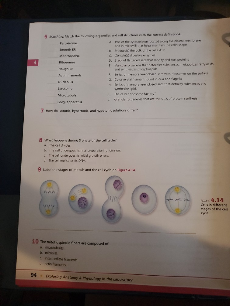 Solved Name IN Section REVIEW Check Your Recall 1 Label the | Chegg.com