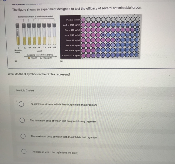 Solved The Figure Shows An Experiment Designed To Test The 