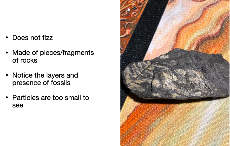 Solved 172 CHAPTER 6 USING SEDIMENTARY ROCKS TO INTERPRET | Chegg.com