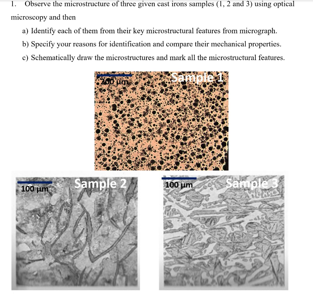 Solved 1. Observe the microstructure of three given cast | Chegg.com