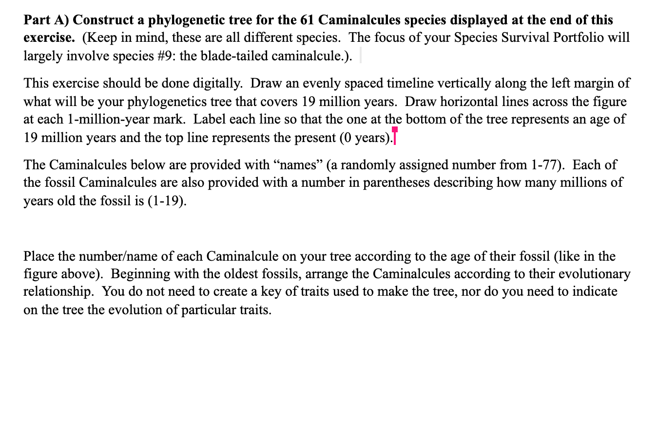 Part A) Construct a phylogenetic tree for the 61 | Chegg.com