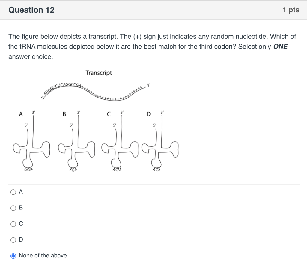 Solved Question 11 1 pts The backbone of this polymer is | Chegg.com