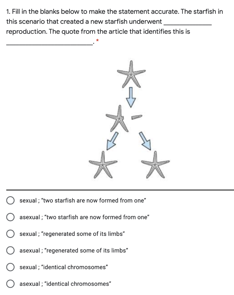 Asexual Reproduction In Starfish