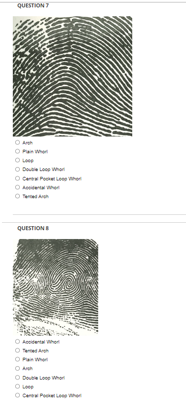 Solved QUESTION 1 Arch Tented Arch Plain Whorl Central | Chegg.com