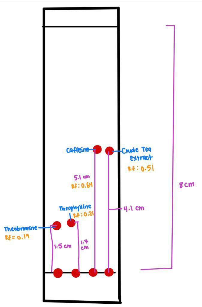Solved Thin Layer Chromatography of Xanthine | Chegg.com