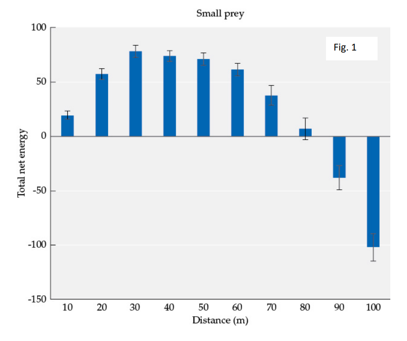 Solved Optimal foraging theory assumes that organisms will | Chegg.com