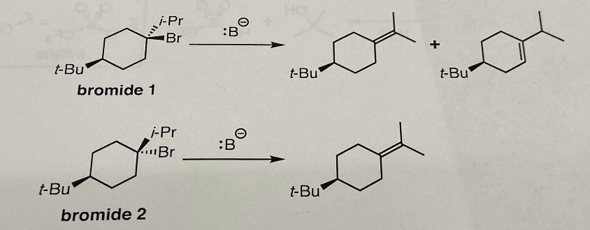 Solved treatment of bromide 1 with a strong base leads to | Chegg.com