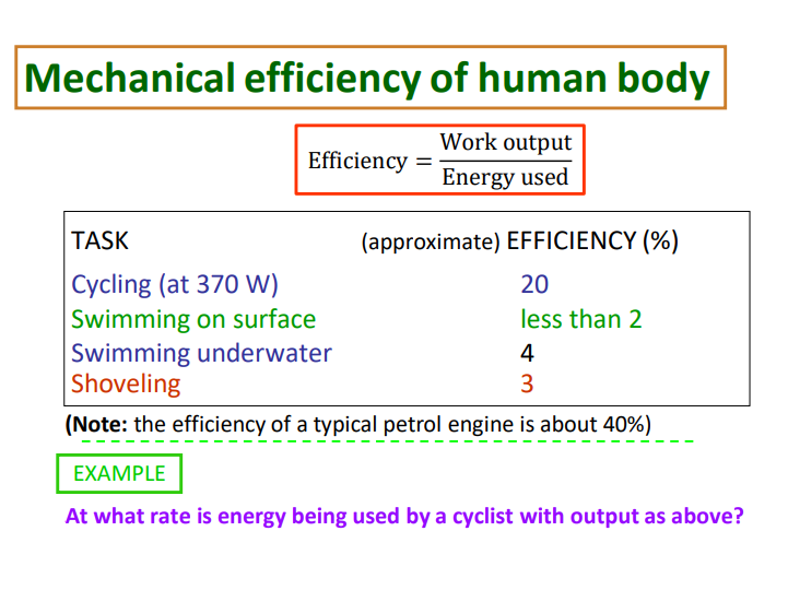 Solved Mechanical efficiency of human body Work output | Chegg.com