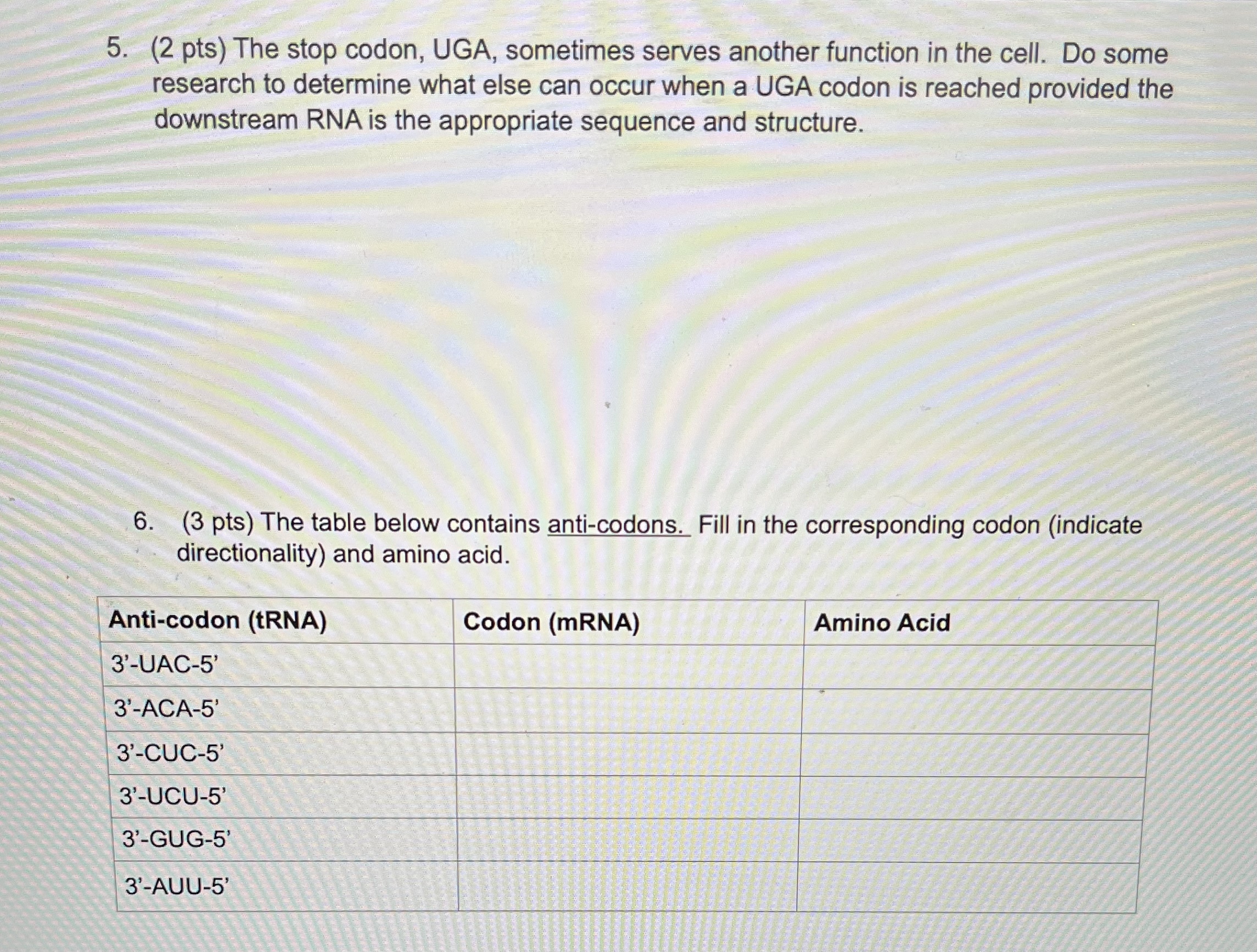 Solved (2 pts) The stop codon, UGA, sometimes serves another | Chegg.com