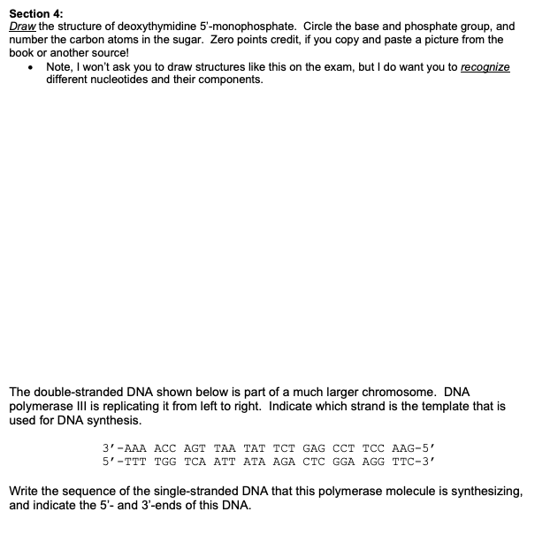 Solved Section 4: Draw the structure of deoxythymidine | Chegg.com