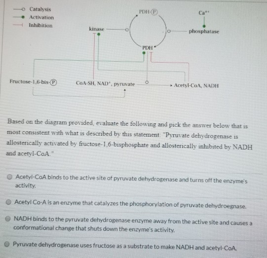 Solved Question 5 1 pts Here is a description of pyruvate | Chegg.com