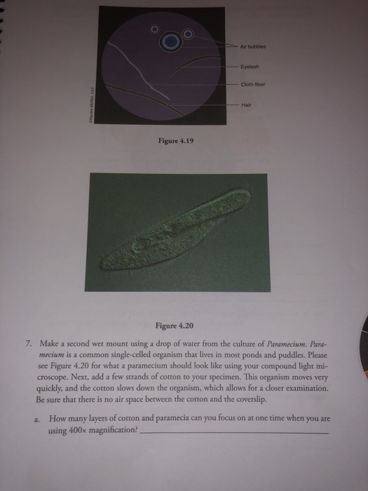 Solved Instructions: Pre-lab questions are to structor on | Chegg.com Solved Instructions: Pre-lab questions are to structor on | Chegg.com