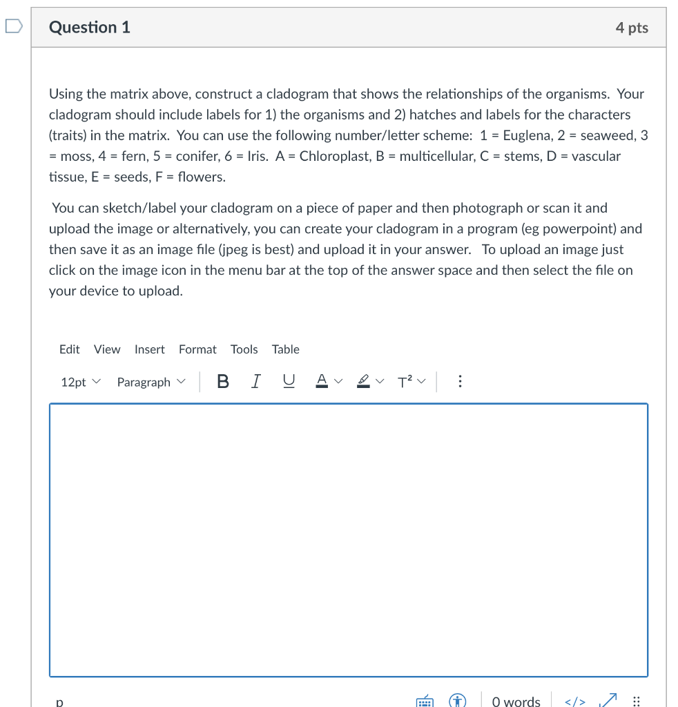 Solved Question 1 4 pts Using the matrix above, construct a | Chegg.com