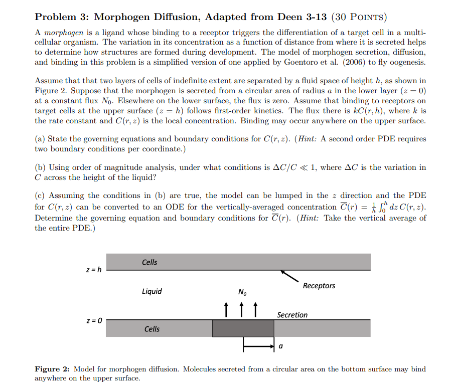 Solved Problem 3: Morphogen Diffusion, Adapted from Deen | Chegg.com
