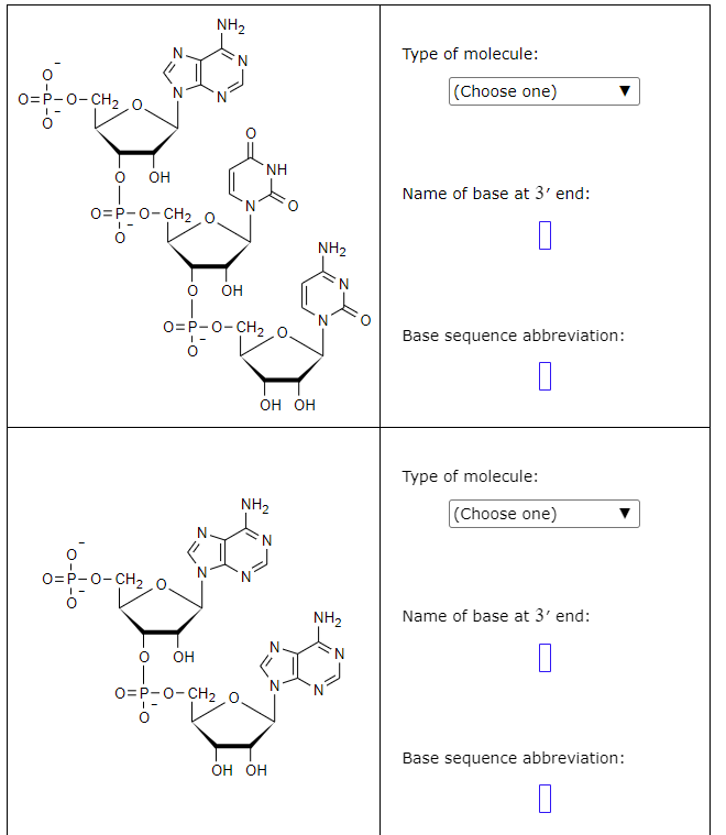 Solved Please review the photos and assist in labeling each | Chegg.com