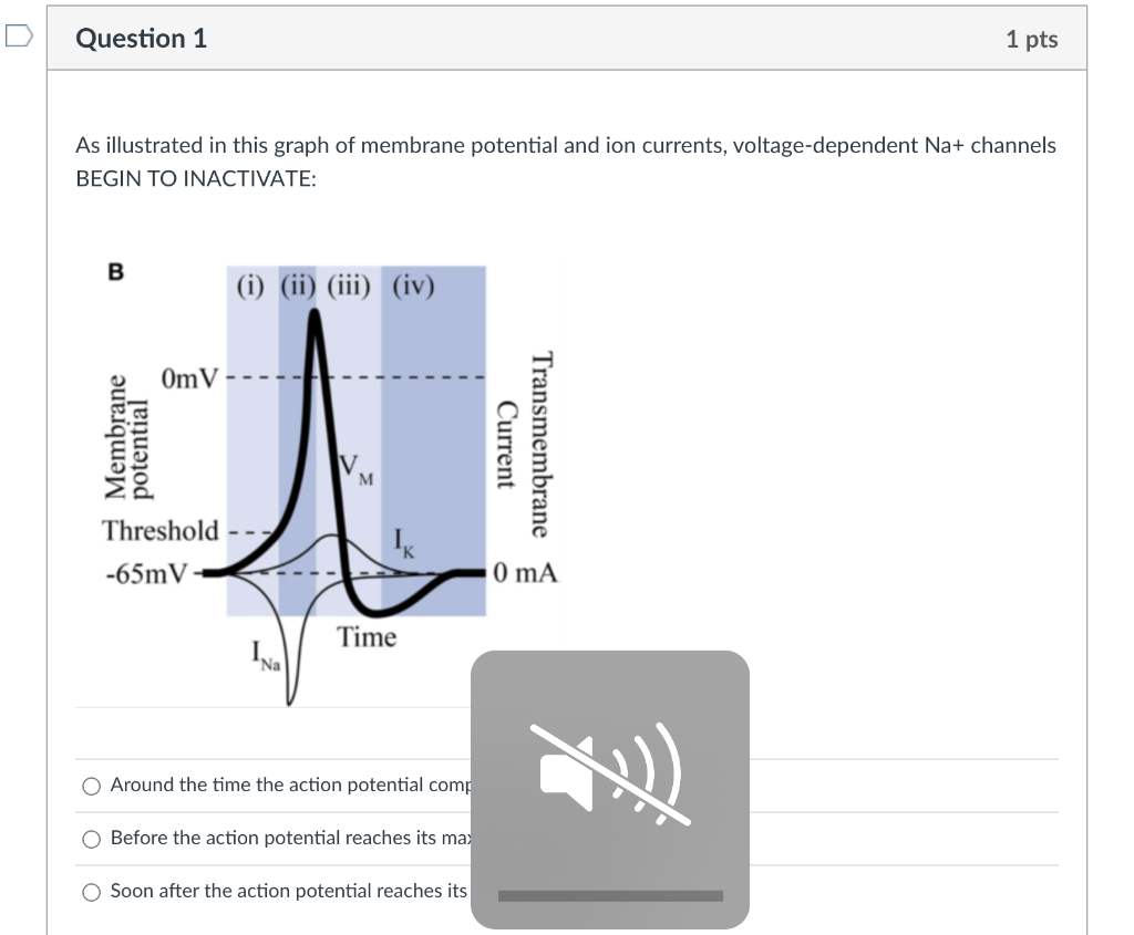 As illustrated in this graph of membrane potential | Chegg.com