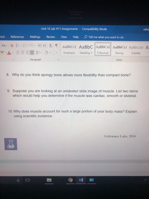 Solved Unit 10 Lab 11 Assignments Compatibility Mode Rebe