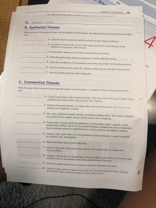 Solved Date Section Reviewing Your Knowledge Exercise 6 A