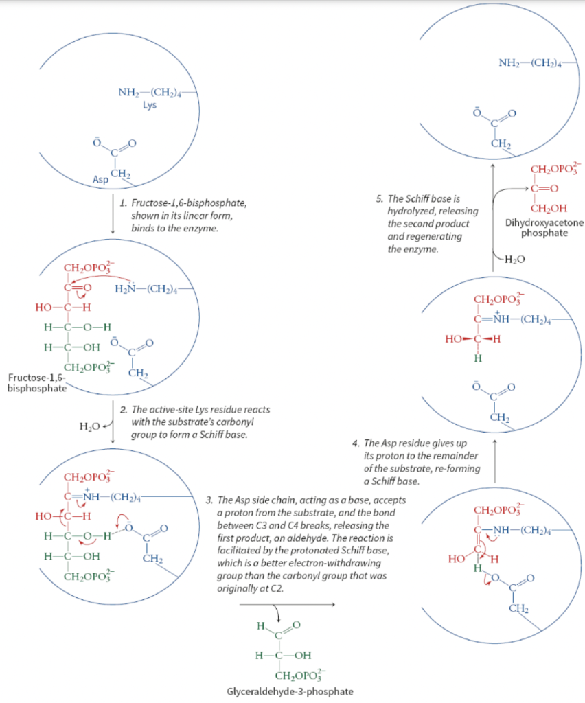 Solved Please answer the following question with an | Chegg.com