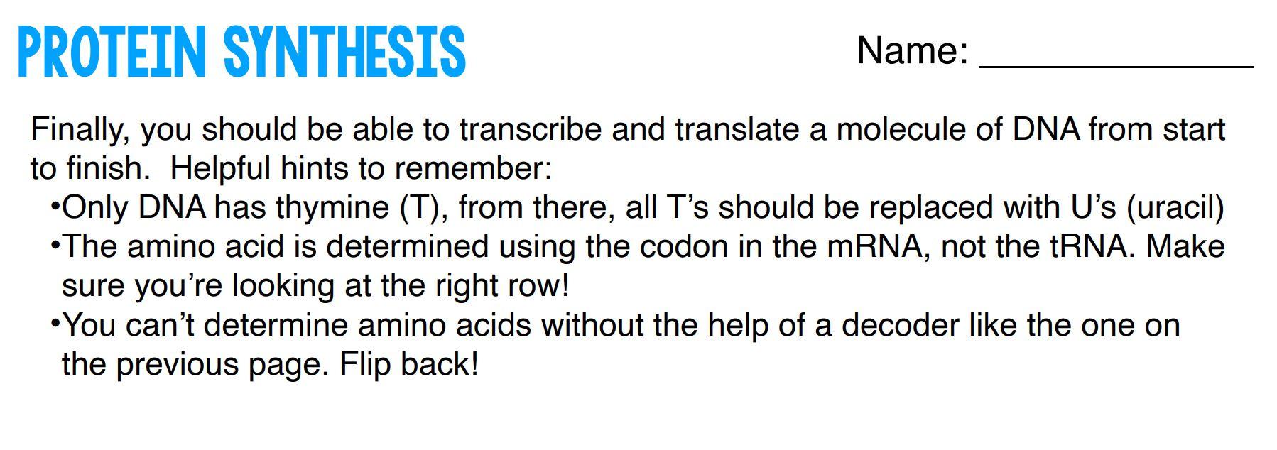 Solved PROTEIN SYNTHESIS Name: Finally, you should be able | Chegg.com