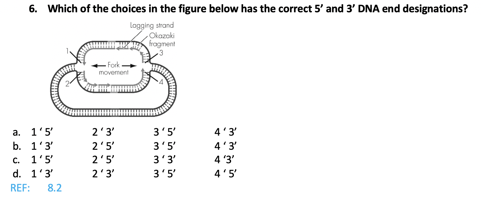 Solved 1. The image shown below is a space-filling model of | Chegg.com