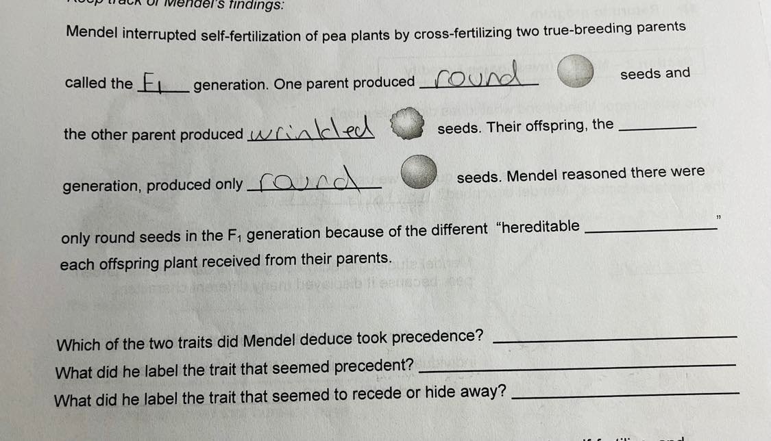 Solved Mendel's table of his observations of heredity in pea | Chegg.com