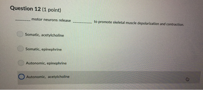 Solved Question 12 (1 point) motor neurons release to | Chegg.com