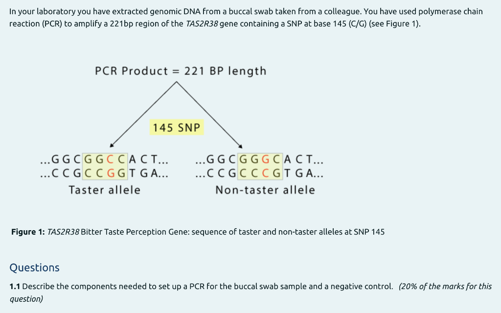 Solved In your laboratory you have extracted genomic DNA | Chegg.com