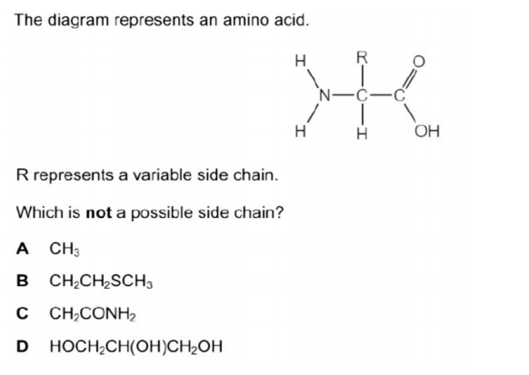 Solved The diagram represents an amino acid. H R } N- -C -C | Chegg.com