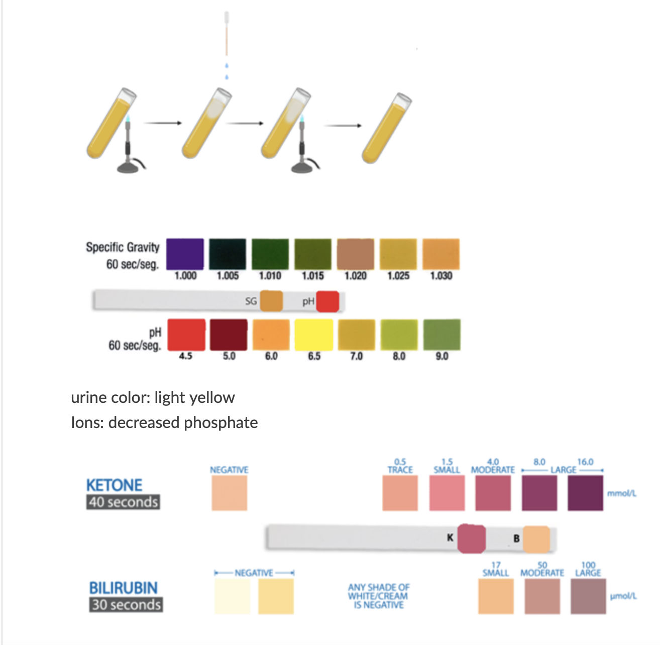 Solved The following clinical tests were preformed, using | Chegg.com