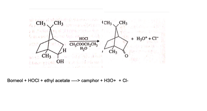 Borneol +HOCl+ ethyl acetate camphor +H3O++Cl− | Chegg.com