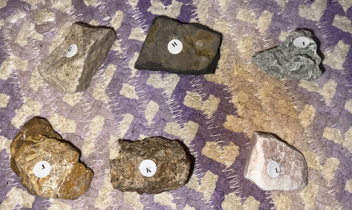 Solved Table 6: Sedimentary Rock Identification | Chegg.com