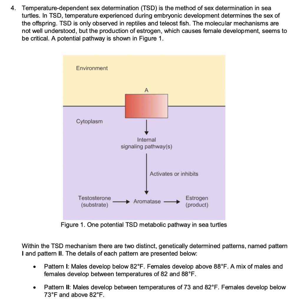 Solved d. Researchers claim that TSD pattern I sea turtles | Chegg.com