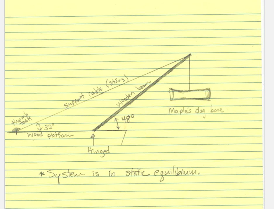 Solved Torque (15 ﻿points) ﻿After playing on their homemade | Chegg.com