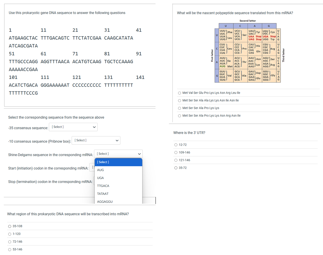 Solved Use this prokaryotic gene DNA sequence to answer the | Chegg.com