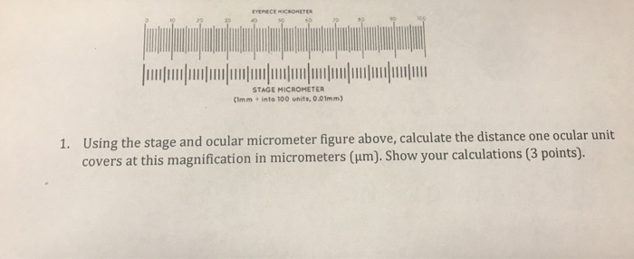 Solved STAGE MICROMETER (imm + into 100 units, o.01mm) Using | Chegg.com