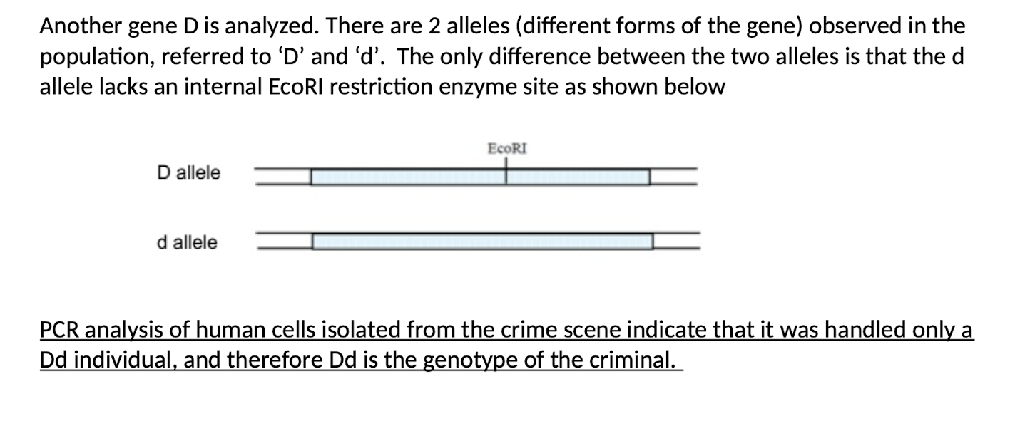 Solved Cells From Cheek Swabs Of The Suspects Were Used For