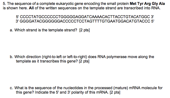 Solved 5. The sequence of a complete eukaryotic gene | Chegg.com